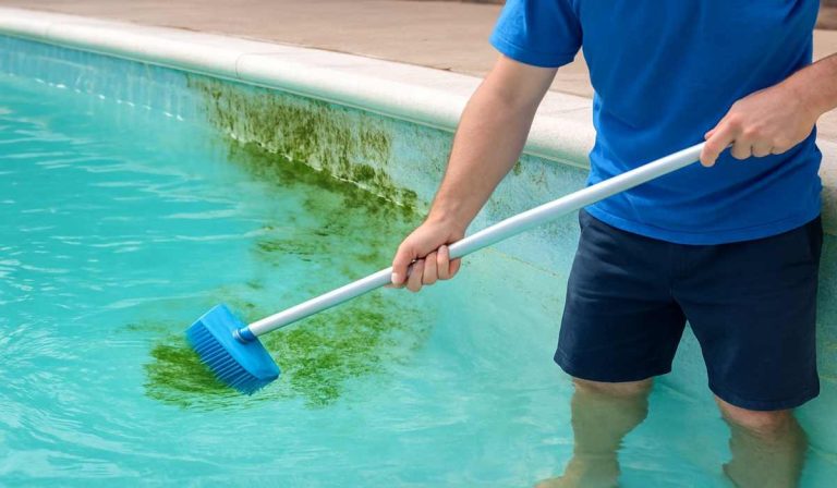 How to Clean Algae from Pool | Easy Australian Guide